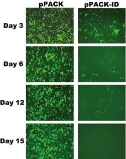 pPACK-ID: Integrase-defective lentiviral packaging mix (15 reactions)